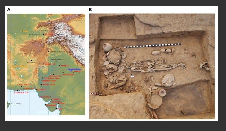 Genome sequence of skeleton from Rakhigarhi of Harappan civilization ...
