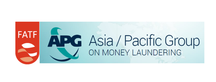 FATF-APG Report says 2400+ money Laundering cases in Pakistan, and ONE ...